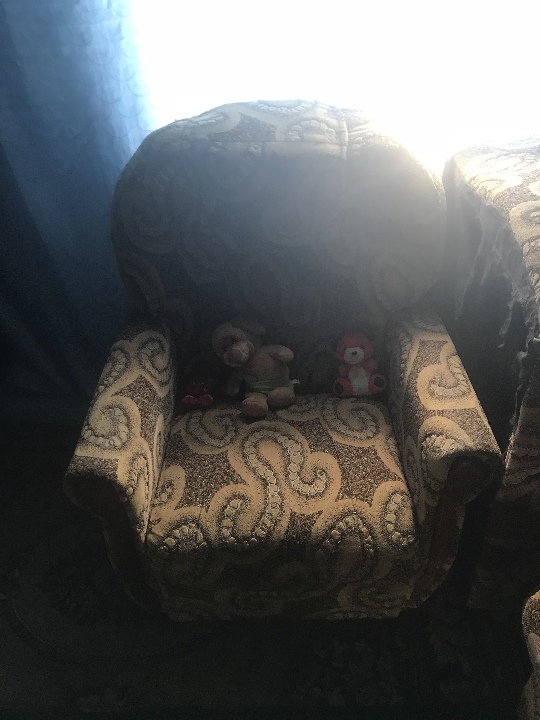 Мякі крісла у кількості 2 шт Ua