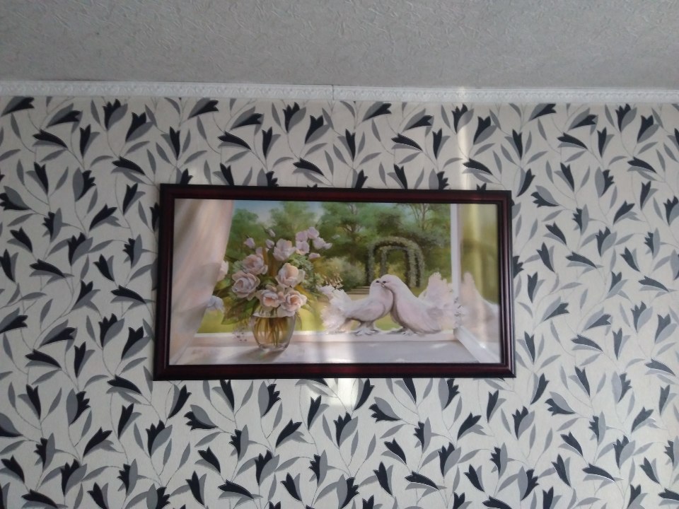 Картина настінна з голубами Ua