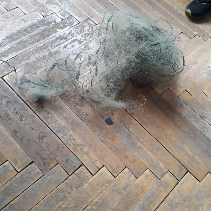 Сітка жилкою довжиною 25 м висотою 1 2 м вічко 30 мм б в Ua